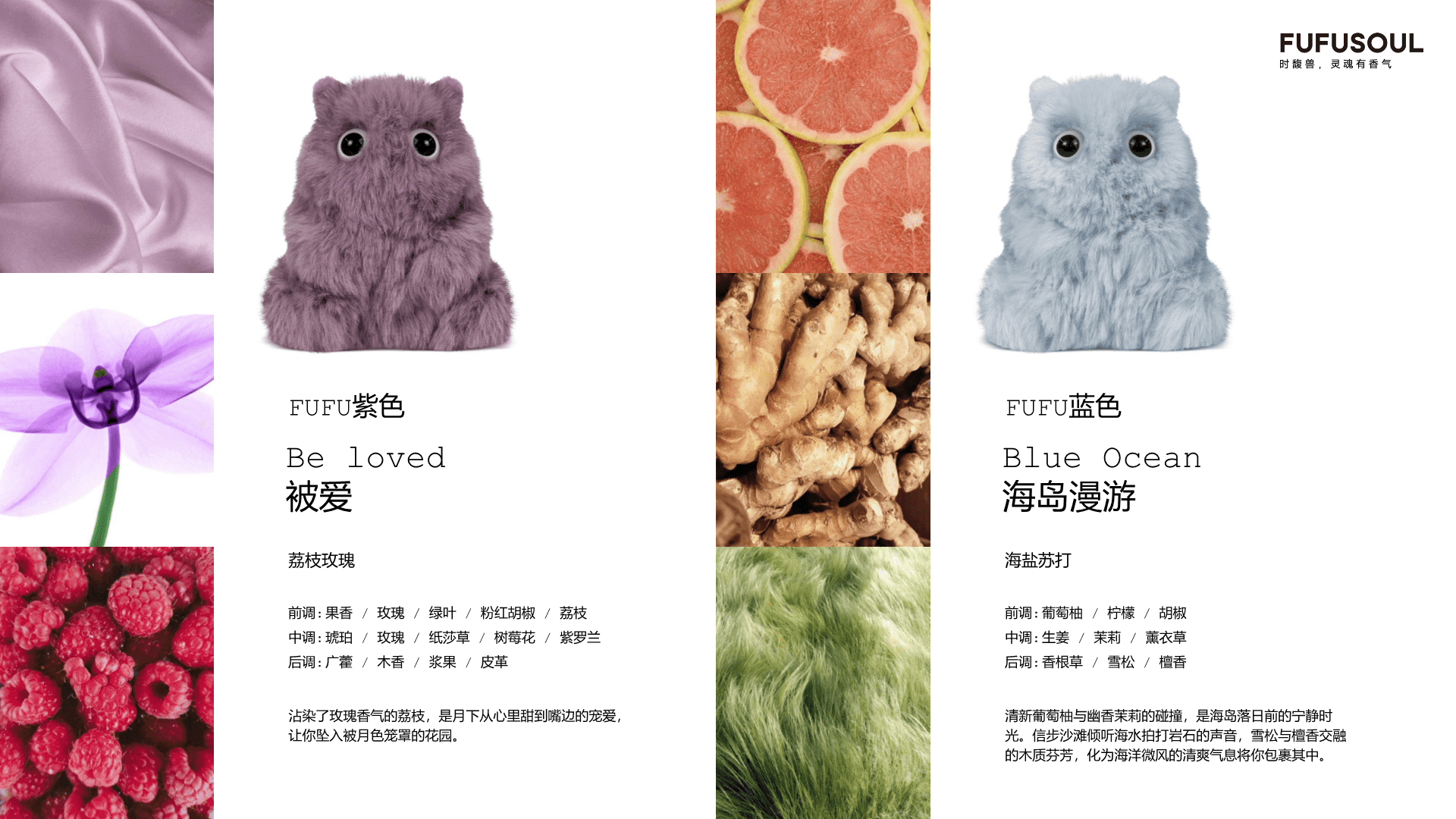 2024 FUFUSOUL馥馥品牌手册 - 方案库